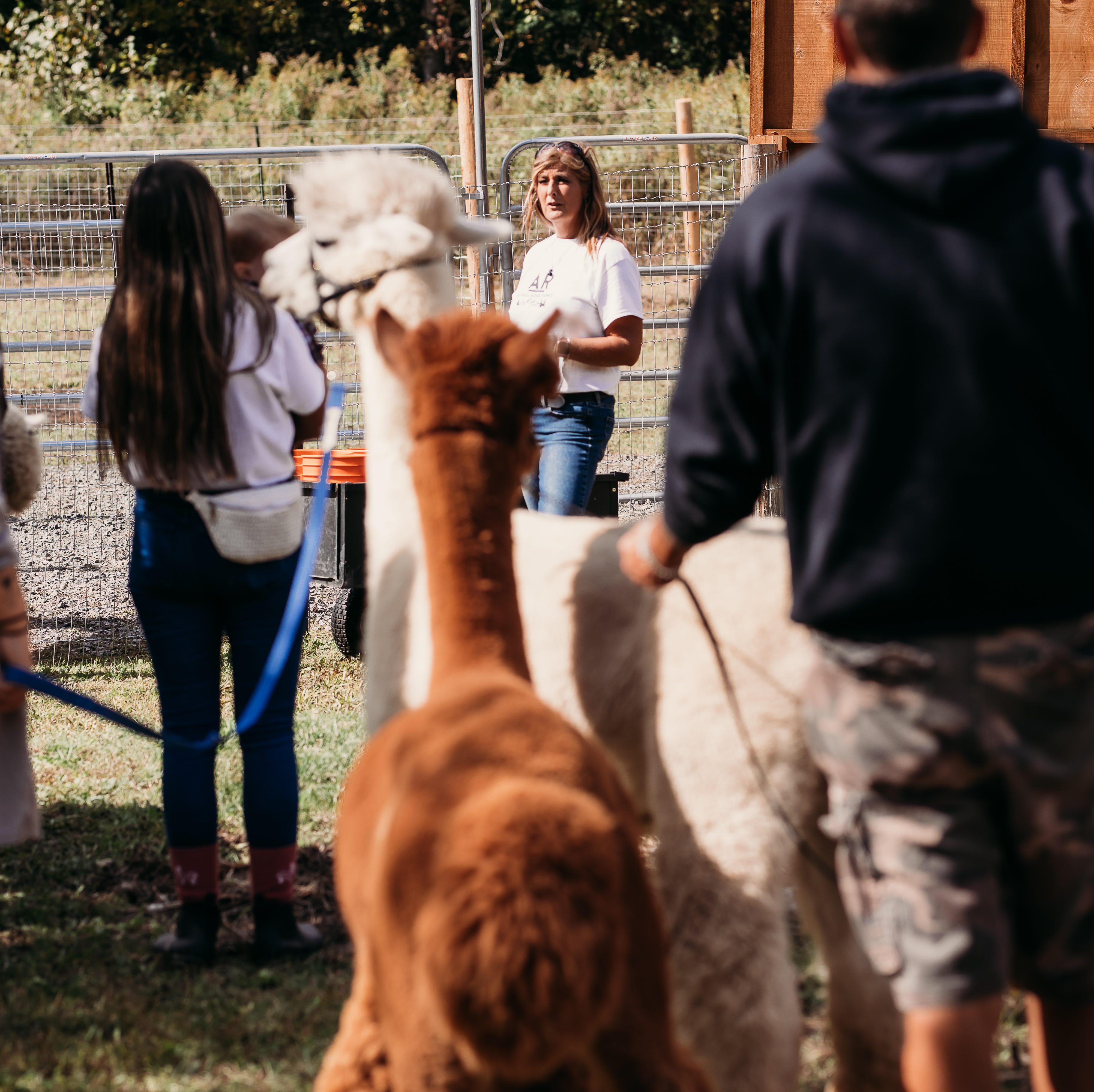 Alpaca Ridge Farms