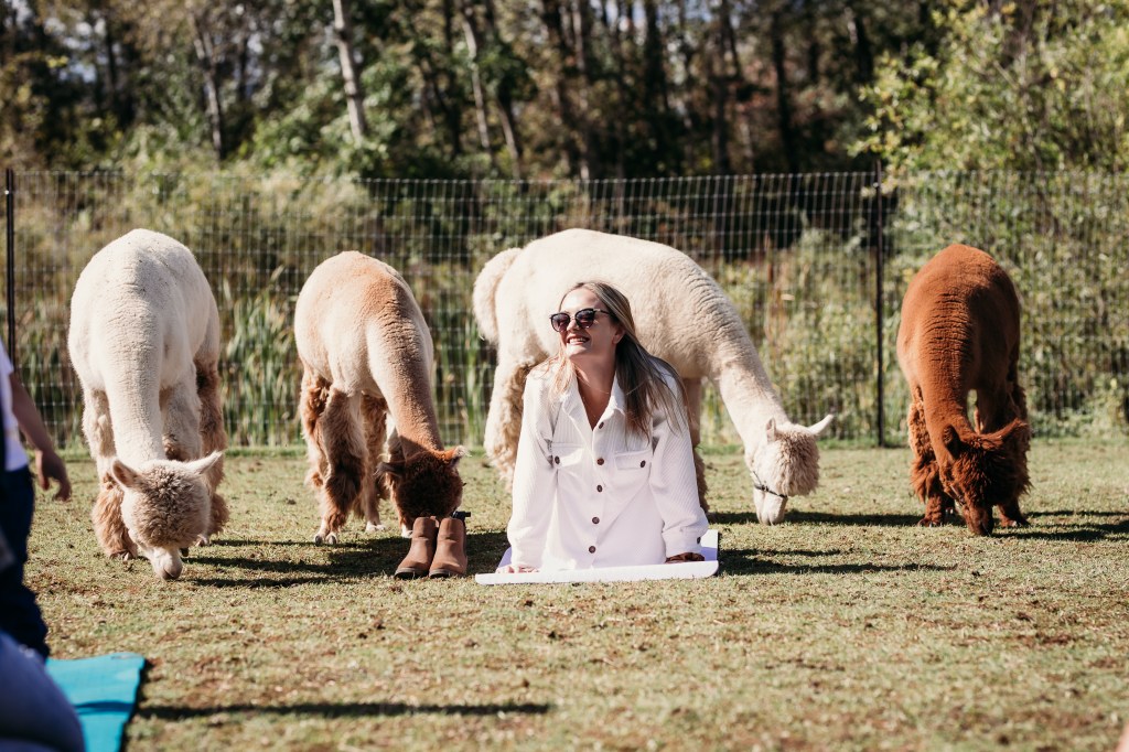 Alpaca Ridge Farms – 152 Smith Rd Stirling ON.